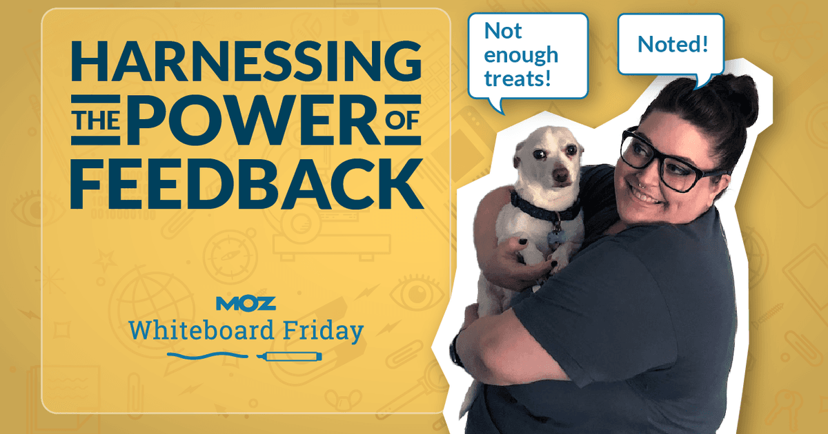 Harnessing the Power of Feedback — Whiteboard Friday 2024 Harnessing the Power of Feedback — Whiteboard Friday 2024